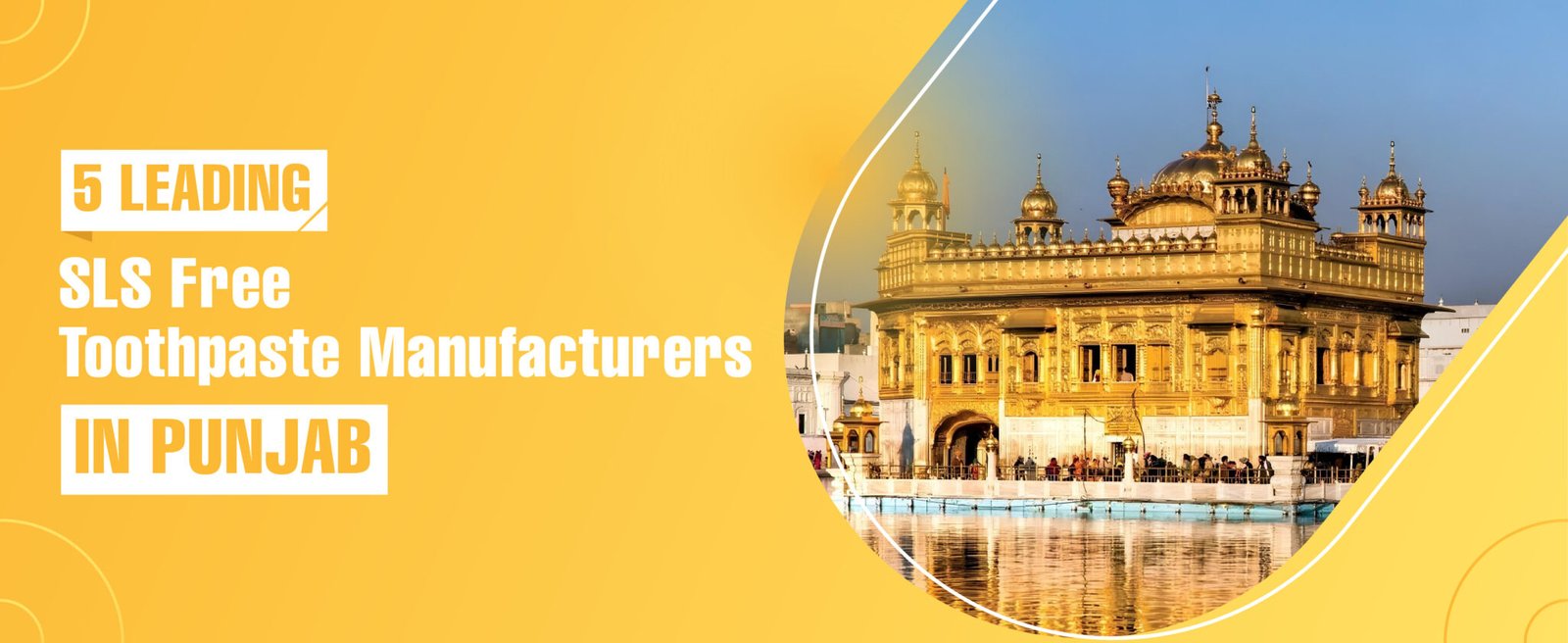 5 Leading SLS Free Toothpaste Manufacturers In Punjab | Orchid Lifesciences